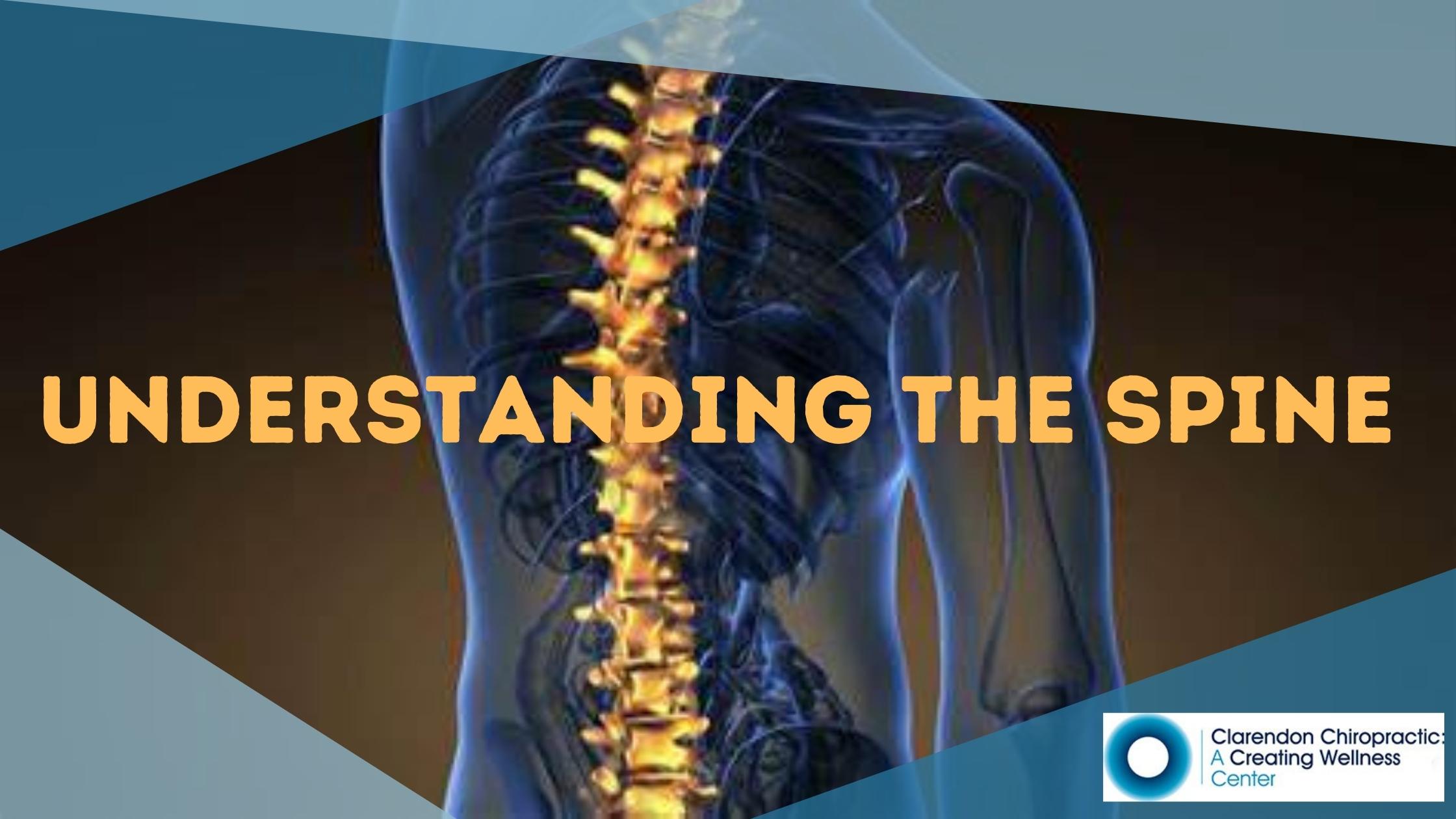 What Happens When You Crack Your Back Clarendon Chiropractic What Happens When You Crack Your Back Clarendon Chiropractic
